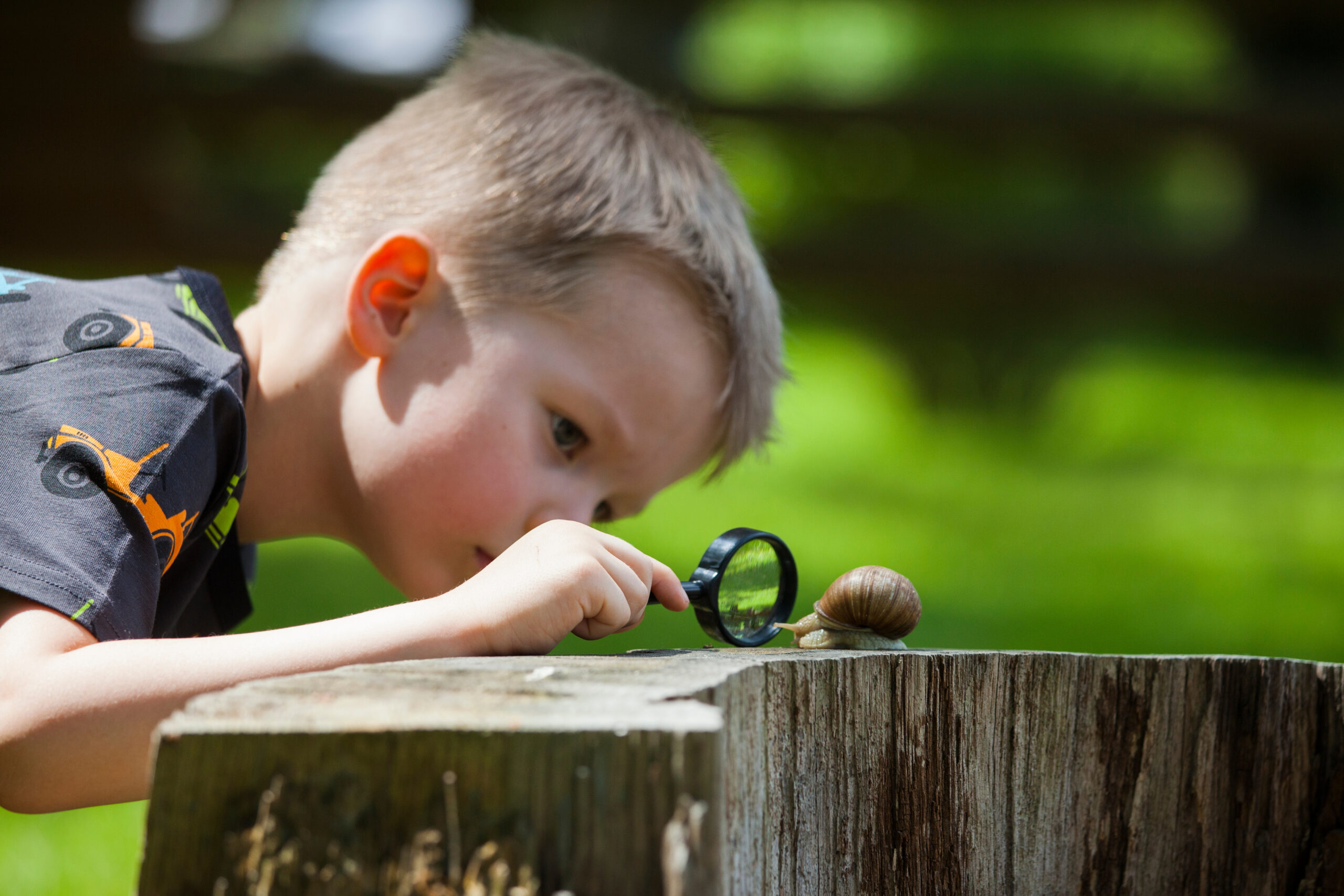 À la crèche des Tilleuls, l’extérieur comme terrain d’apprentissage ...